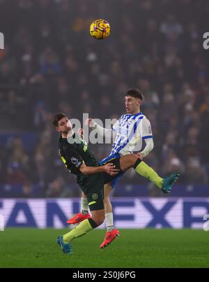 Brighton and Hove Albion's Brajan Gruda during the Premier League match ...