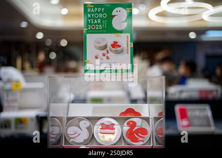 Tokyo. 27th Dec, 2024. This photo taken on Dec. 27, 2024 shows red ...