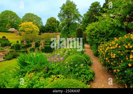 A variety of topiary shaped hedges and herbaceous borders in the ...