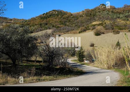 Back roads and lanes near the town of Roccascalegna in the province of ...