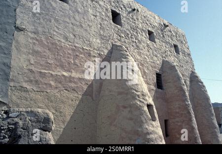 Watchtower, Monastery of St Anthony, Monastery of St Anthony, Arabian ...