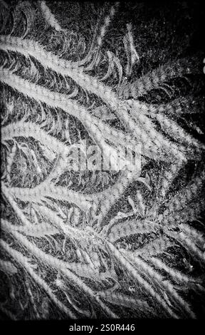 Arty natural ice sculpture and winter sunset by the Oslofjord at Nes on ...