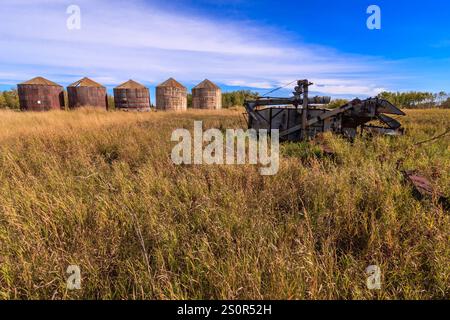 Tractor harvesting in the vast field Stock Photo - Alamy