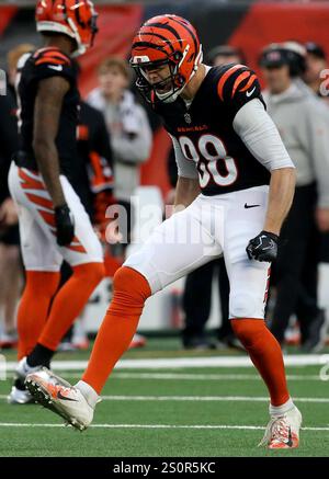 Cincinnati Bengals tight end Mike Gesicki (88) runs a route during NFL ...