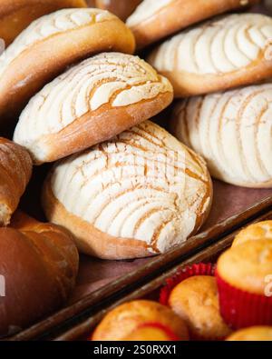 Pan de concha. Mexican sweet bread at a street food stand in Oaxaca ...
