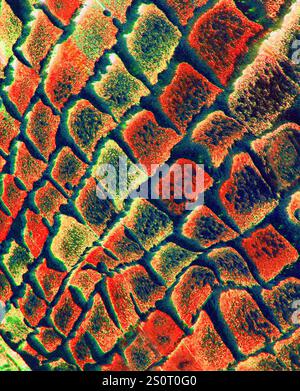 A colourful abstract background graphic with a kaleidoscopic mosaic ...