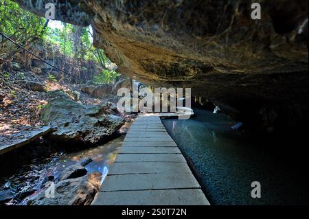 Cave at Thung Nham Bird Park, Vietnam Stock Photo - Alamy