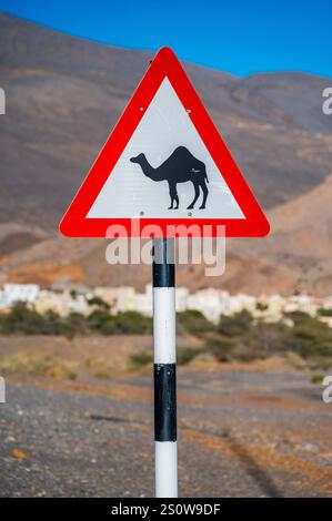 Gebirge Dschabal al-Achdar mit Vekrhsschild Achtung Kamel *** Jabal al ...