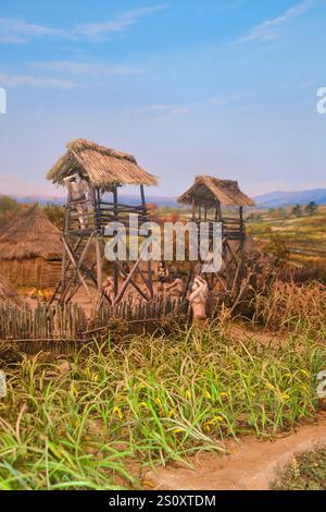 View of typical watch towers at the Majeon-ri site. A rural, farming ...