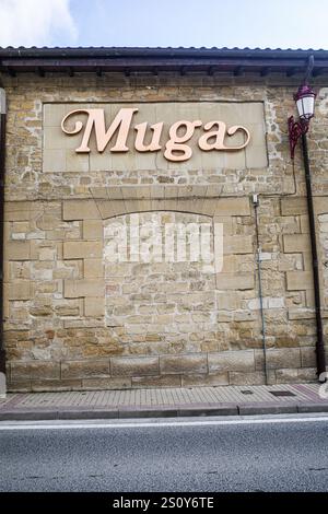 Vineyard in La Rioja, Spain Stock Photo - Alamy
