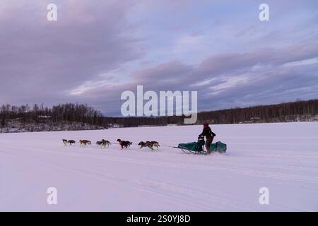 Alaska's Sled Dog Race Keeps Traditions Alive Stock Photo - Alamy