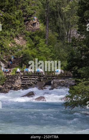 A confluence of Bheri River, in Dolpa, Nepal Stock Photo - Alamy