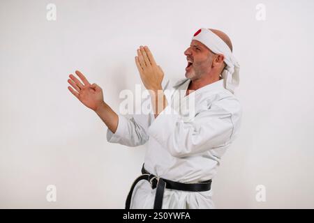 Karate master in attack position Stock Photo - Alamy