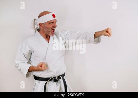 Karate master in attack position Stock Photo - Alamy