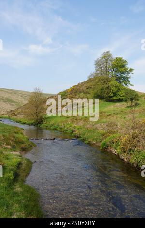 River Barle Valley, Exmoor National Park, Somerset, England, UK Stock ...