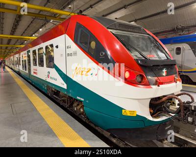 The Leonardo Express, a train between Rome Termini & the Leonardo da ...