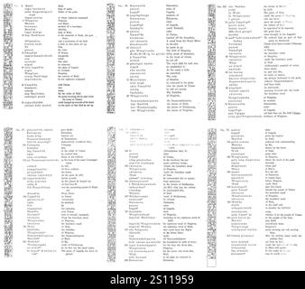 Net cylinder of Entemena Stock Photo - Alamy