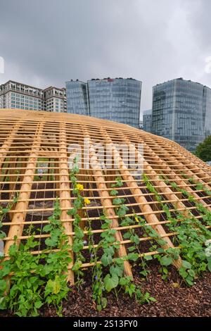 A wood, round, dome trellis structure with growing vines. At the ...