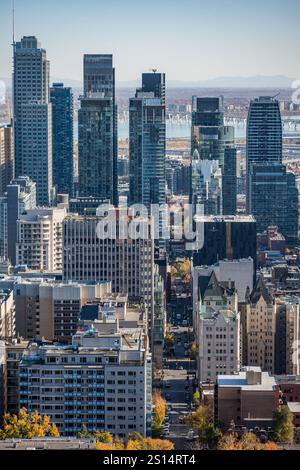 Montreal Skyline mit Blick vom Mont Royal *** Montreal skyline with ...