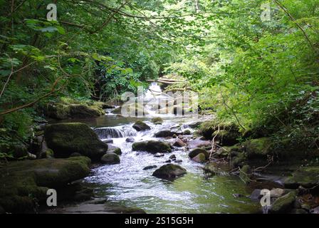 River / streams in Clydach Gorge Stock Photo - Alamy