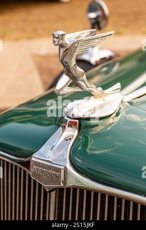 The Auburn "flying lady" emblem on the side of an antique car Stock ...
