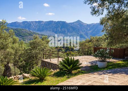 A wooden platform and a rocky cliff at the shoreline of lake Ohrid in ...