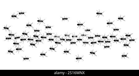 Worker ants trail line flat style design vector illustration isolated on white background. Top ...
