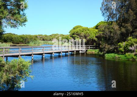 A boardwalk across the wetland in Big Swamp Reserve with paperbark ...