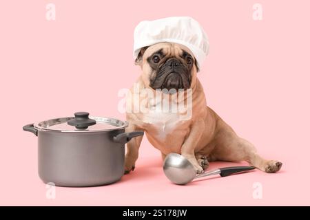 Cute French bulldog in chef's hat with cooking pot and ladle on pink ...