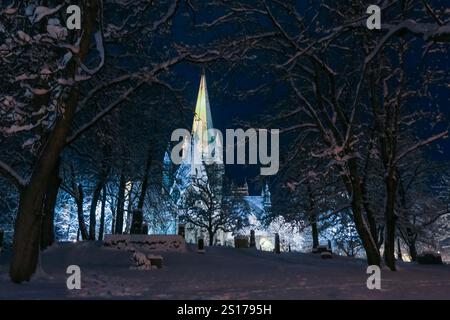 Nightly cathedral Nidarosdomen in Trondheim covered with snow after ...