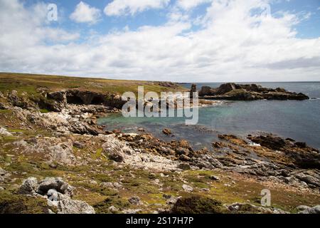 Landscape views of Pebble Island, The Falkland Islands Stock Photo - Alamy