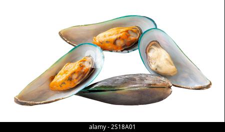 Four cooked or steamed green mussels with green mussels meat in stack ...