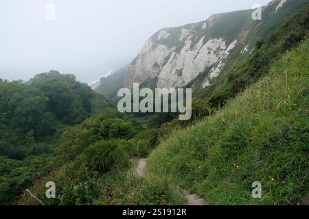 Undercliff between Branscombe and Beer Stock Photo - Alamy