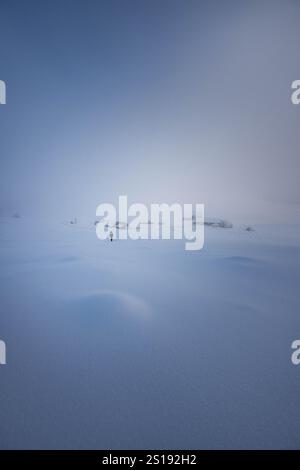 Schneeschuhwanderung im Postalm Winterpark im Salzkammergut an den ...