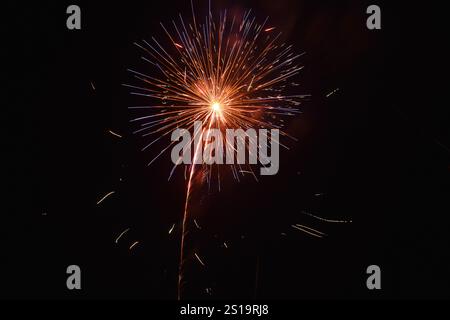 colorful celebrated fireworks bloom on dark sky in night Stock Photo ...