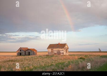 Abandoned house, homestead, Saskatchewan, Canada, Palliser Triangle ...