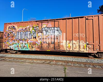 Graffiti tagged on rail cars on Station Street in downtown Saint John ...