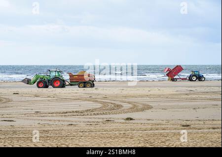 Debris being cleared on South Beach, Troon, South Ayrshire, Scotland ...