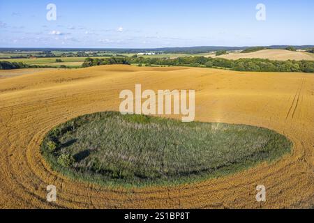 An aerial view of field surrounded by growing cottons Stock Photo - Alamy