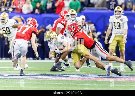 Georgia wide receiver Colbie Young (8) runs with the football during ...