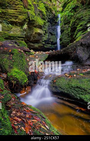 Secret Falls in Tasmania Australia Stock Photo - Alamy