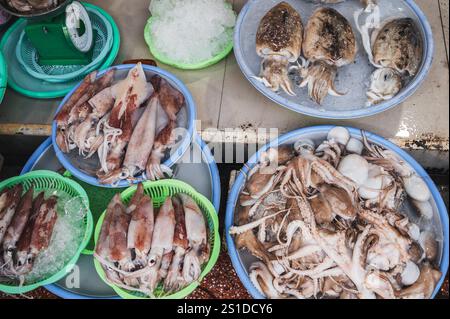 Seafood, including shrimp, octopuses, clams, sea snails, squid, octopus ...