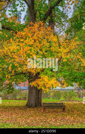 Late Autumn scenery around the Botanical Gardens in Castlemaine ...