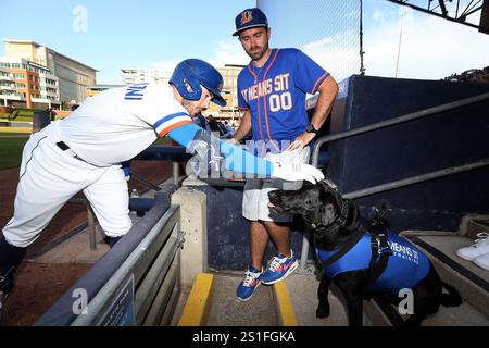 A Baltimore Orioles fan looks on during a baseball game against the ...
