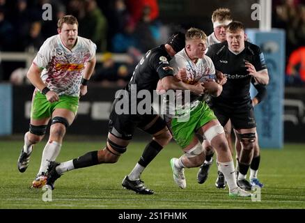Philip van der Walt of Newcastle Falcons in action during the Gallagher ...