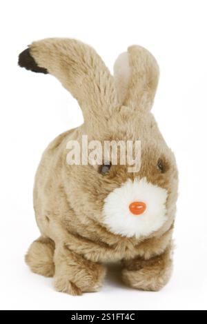Stuffed animal cropped on a white background Stock Photo - Alamy