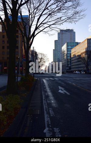 January 1, 2025. Sendai, Miyagi Prefecture, Japan.Sendai's downtown ...