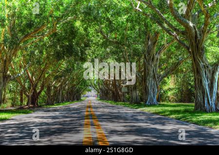 Bridge Road Jupiter Island Florida Stock Photo - Alamy