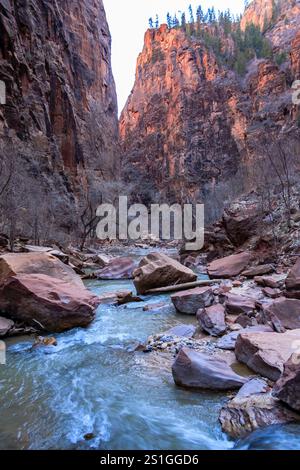 the river flows through a canyon with large stones and rocks Stock ...
