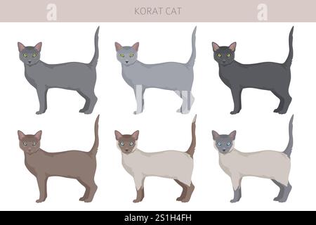 Korat Cat clipart. All coat colors set. All cat breeds characteristics ...